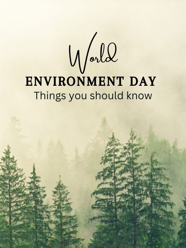 World Environment Day: Things you should know - Kuvera