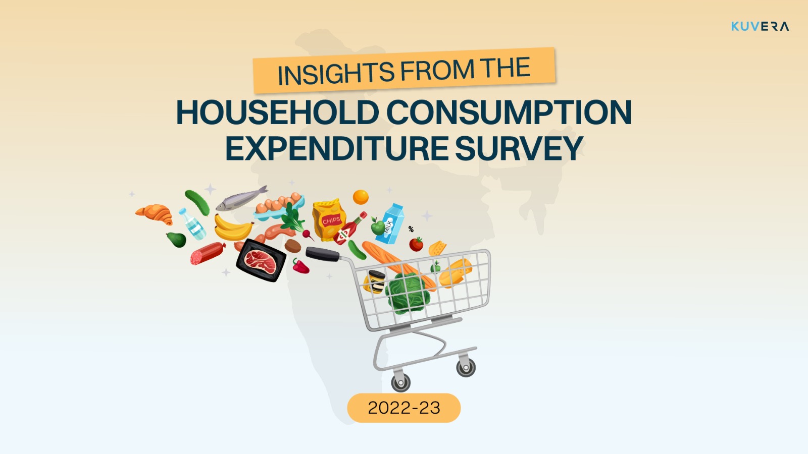 Insights from the Household Consumption Expenditure Survey