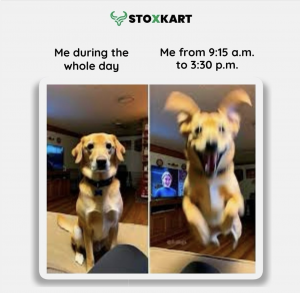 20 Funniest Stock Market Memes