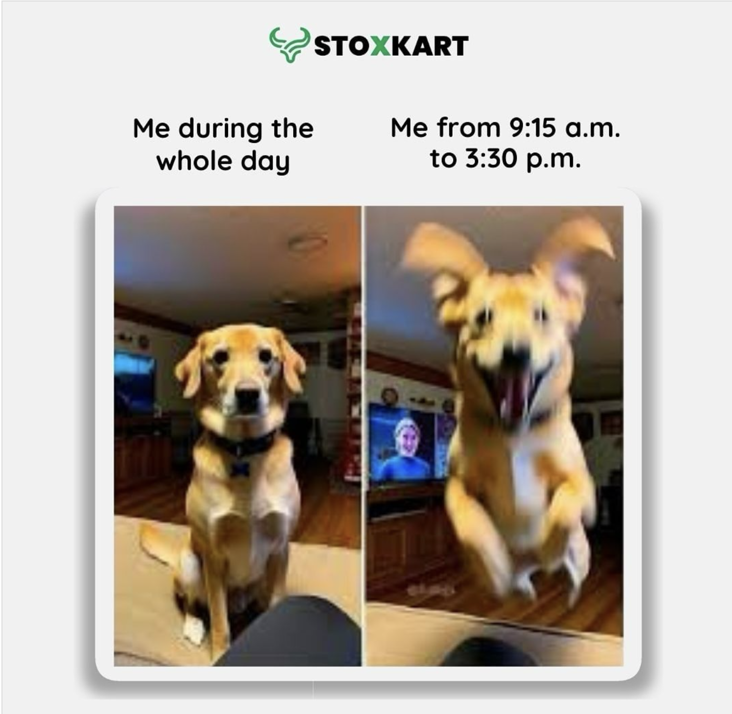 20 Funniest Stock Market Memes